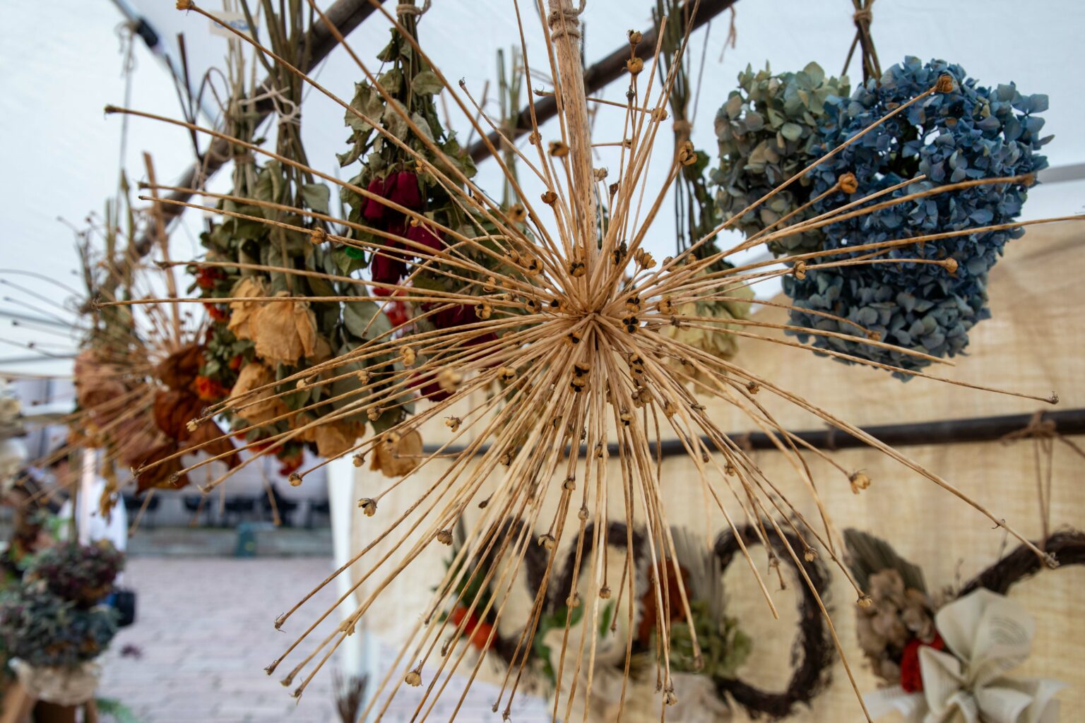 Flora et Decora torna dal 4 al 6 aprile in sant'Ambrogio con la 19esima ...